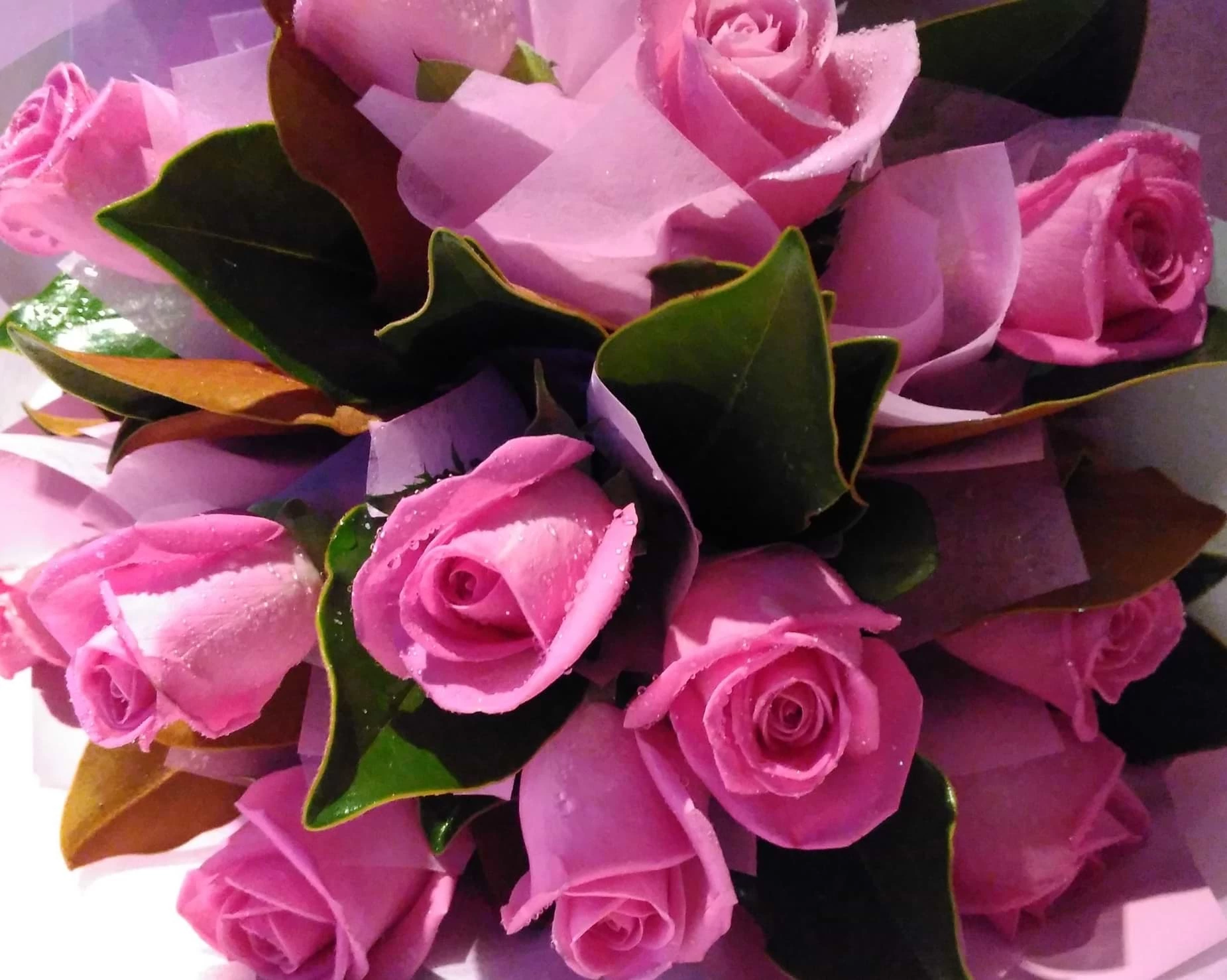 Florist Porirua | Order Flowers, Flower delivery Wellington